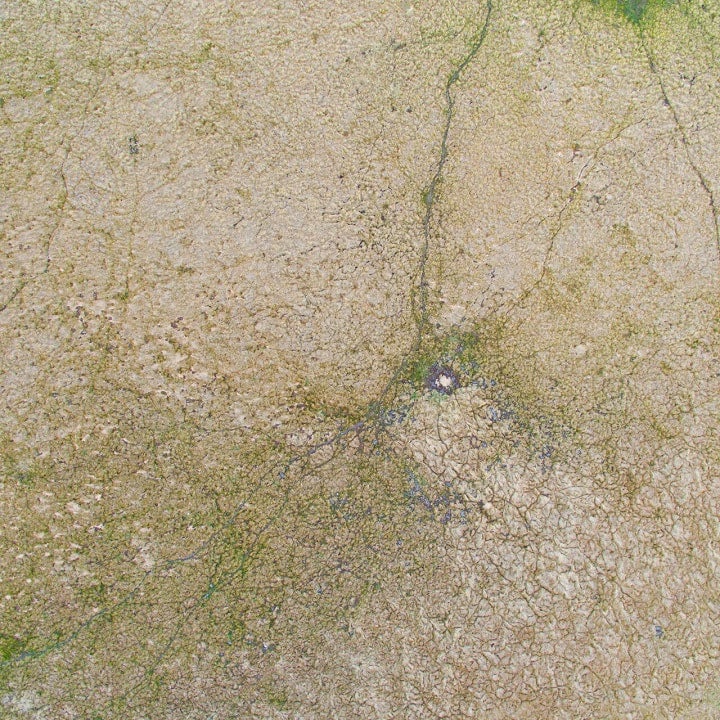 Everlasting Swamp V6 by Stu Murphy | Coldstream Gallery